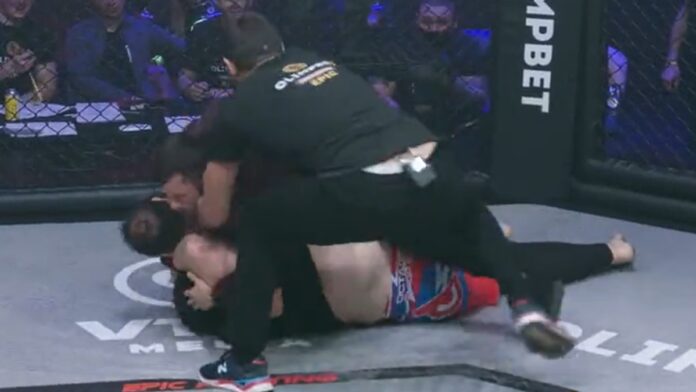 Watch: Audience Member Interferes In Male vs. Female MMA Fight