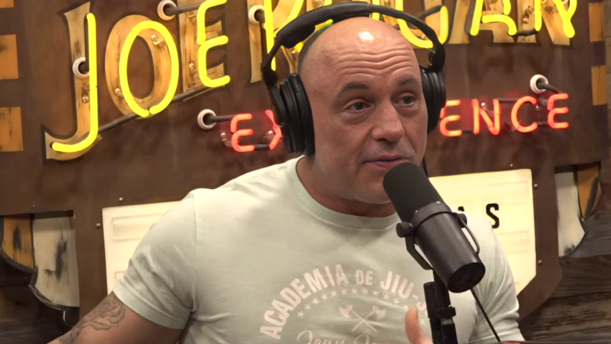 Joe Rogan: Being a UFC Fighter is the 'Nuttiest' Job in the World