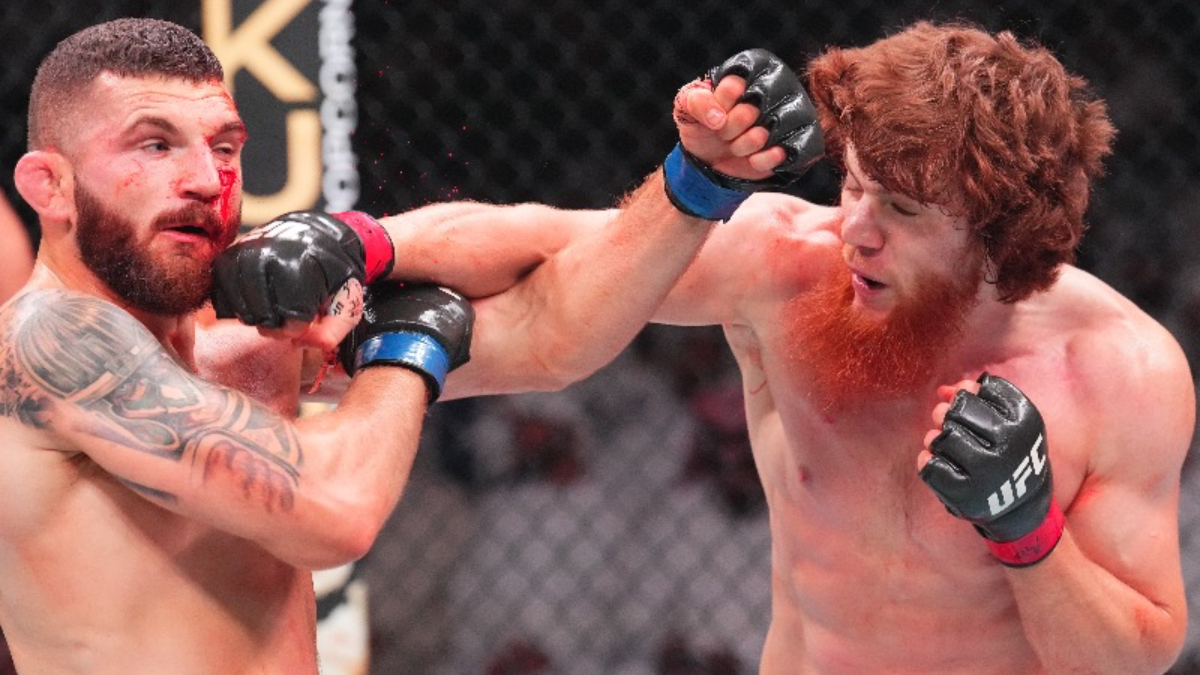 'Anyone Half Decent Finishes Him' - Fans Split After Shara Magomedov's ...