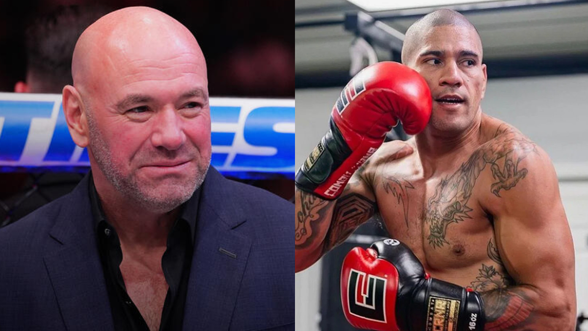 Dana White Not Keen On Alex Pereira's Boxing Talk: 'I Want Everybody To ...