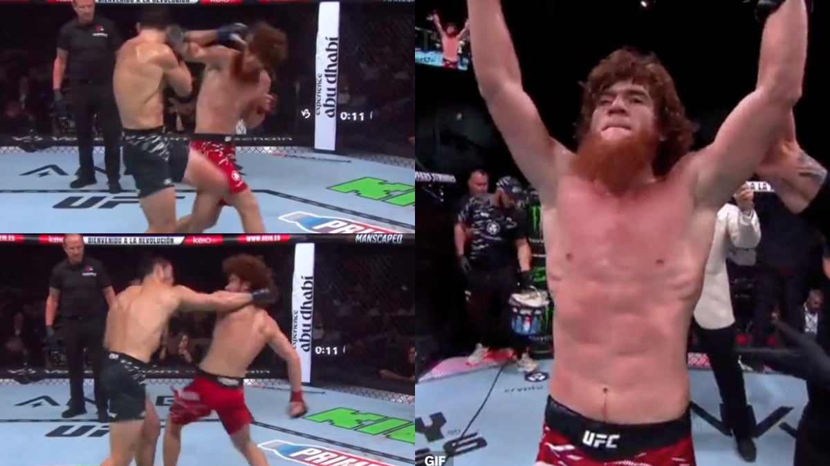 'Coolest F**king Dagestani' - Fans React As Shara Magomedov Lands Crazy ...
