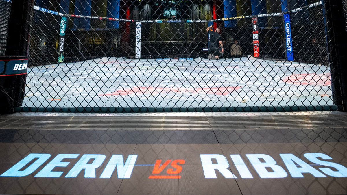 Former Champion Describes Featherweight As 'Future Of The Division ...