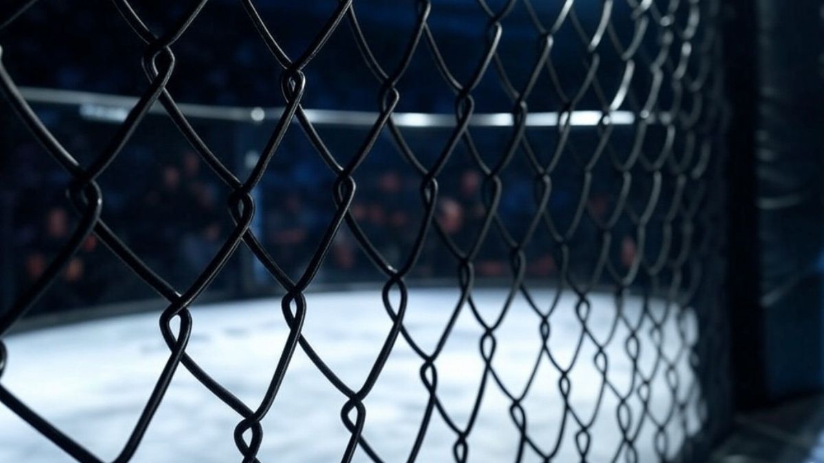MMA Fighter Jailed For Years After Abusing Partner Who Initially Put ...