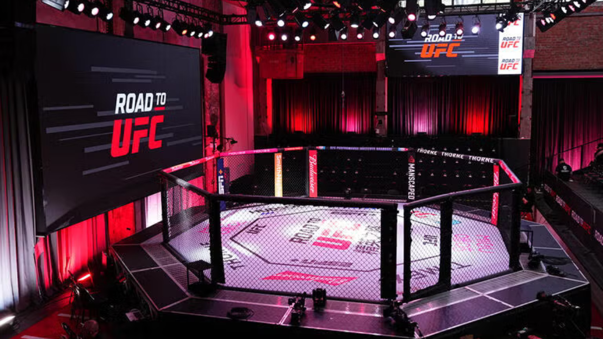 Road To UFC Season 4 Semifinals Results & Highlights: Bruna Brasil ...