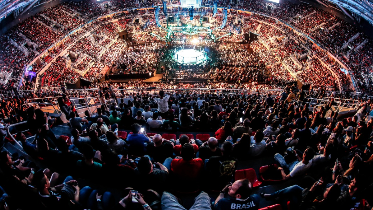 UFC Rio Fight Reportedly Back On Track As Short Notice Replacement Steps In